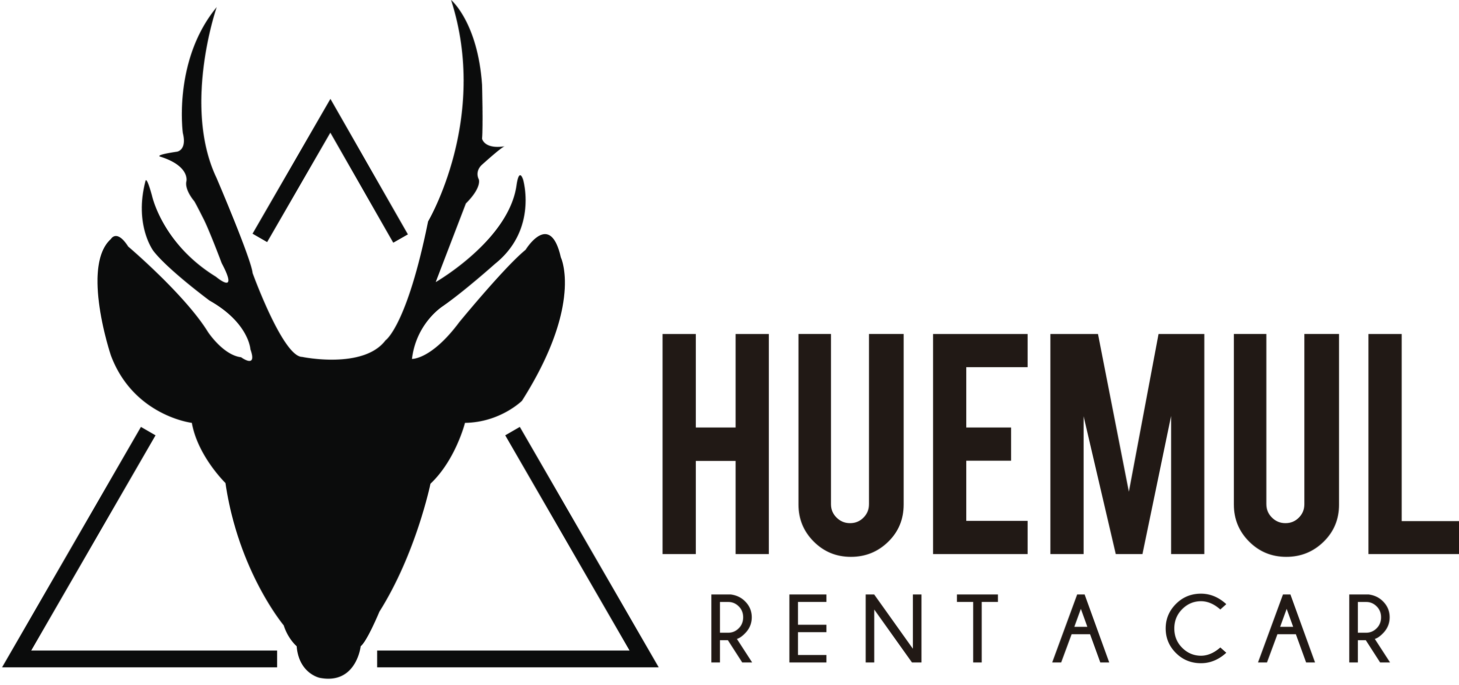 Ingresar - Huemul Rent a Car